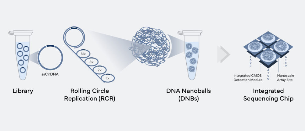 Portable DNA Sequencer: Unleashing Genomic Analysis Anywhere