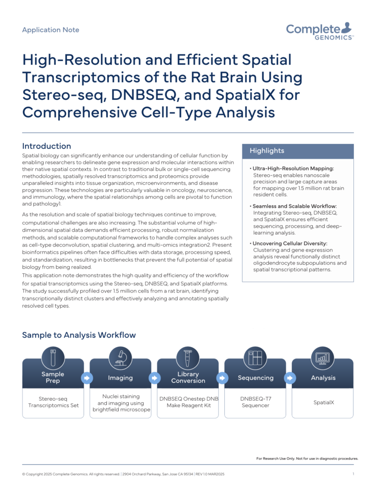 High-Resolution and Efficient Spatial Transcriptomics of the Rat Brain Using Stereo-seq, DNBSEQ ...