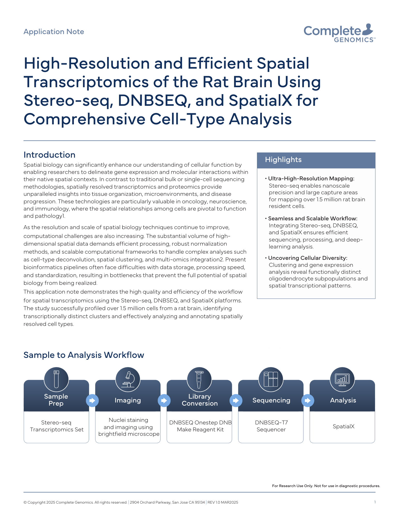 High-Resolution and Efficient Spatial Transcriptomics of the Rat Brain Using Stereo-seq, DNBSEQ ...