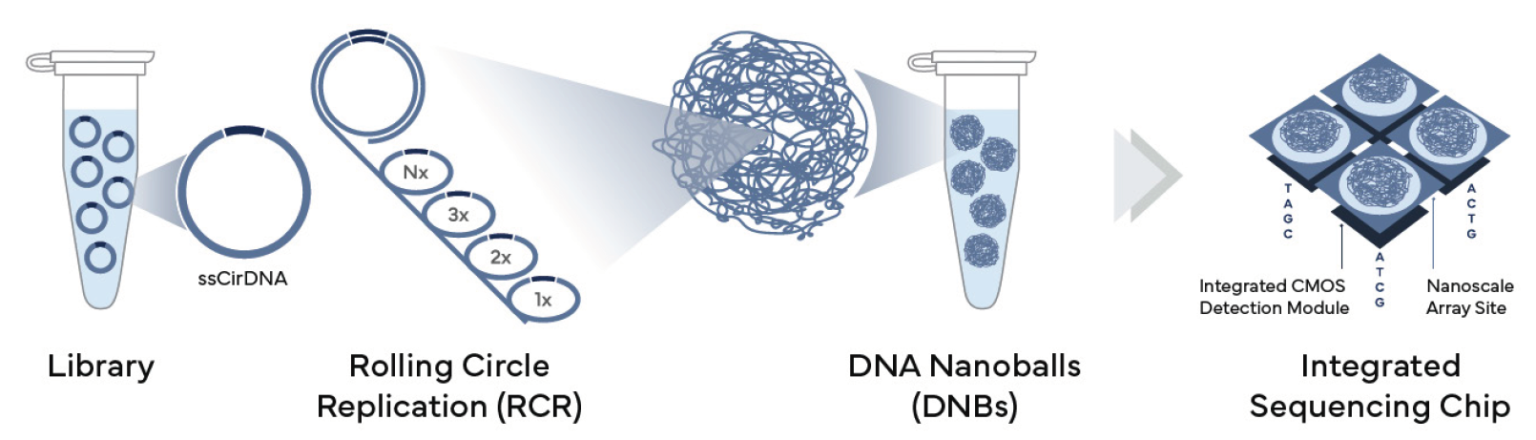 Portable DNA Sequencer: Unleashing Genomic Analysis Anywhere