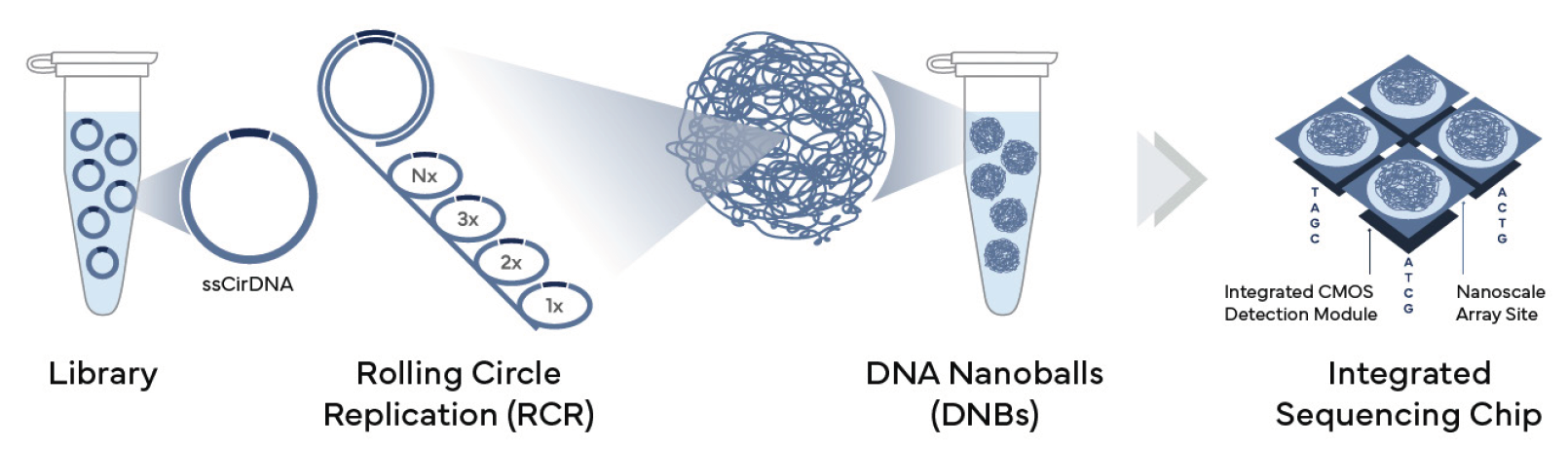 Portable DNA Sequencer: Unleashing Genomic Analysis Anywhere