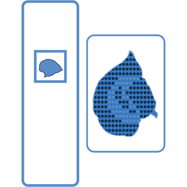 Stereo-seq FF Promo - Complete Genomics