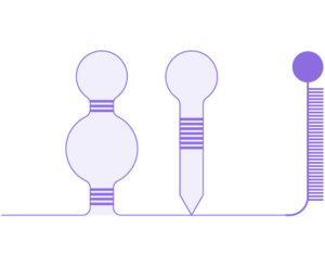 Stereo-seq OMNI for FFPE Solution - Complete Genomics