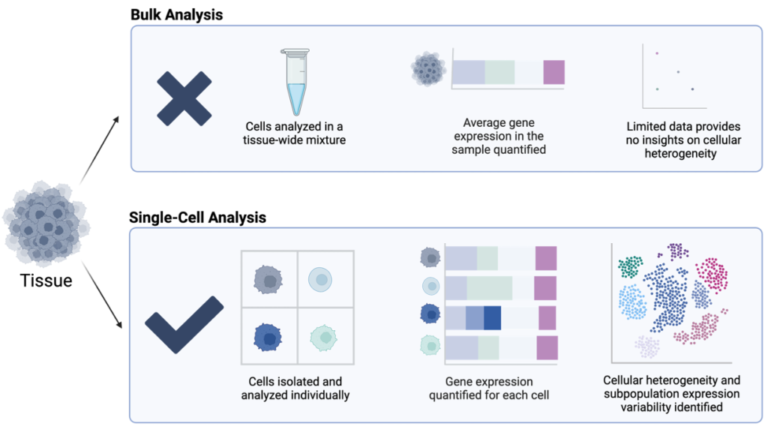 Single-Cell RNA Sequencing - Complete Genomics