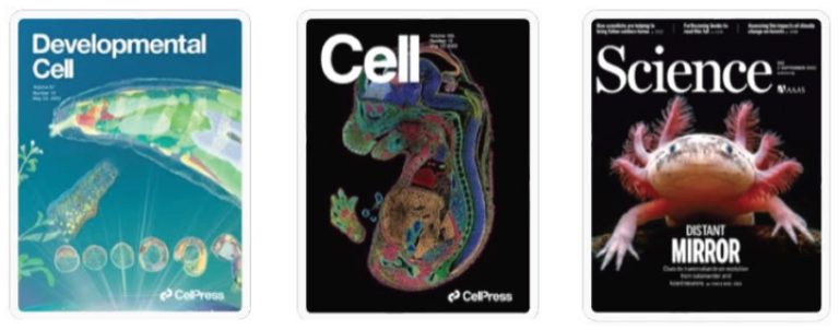 Stereo-seq Technology - Complete Genomics