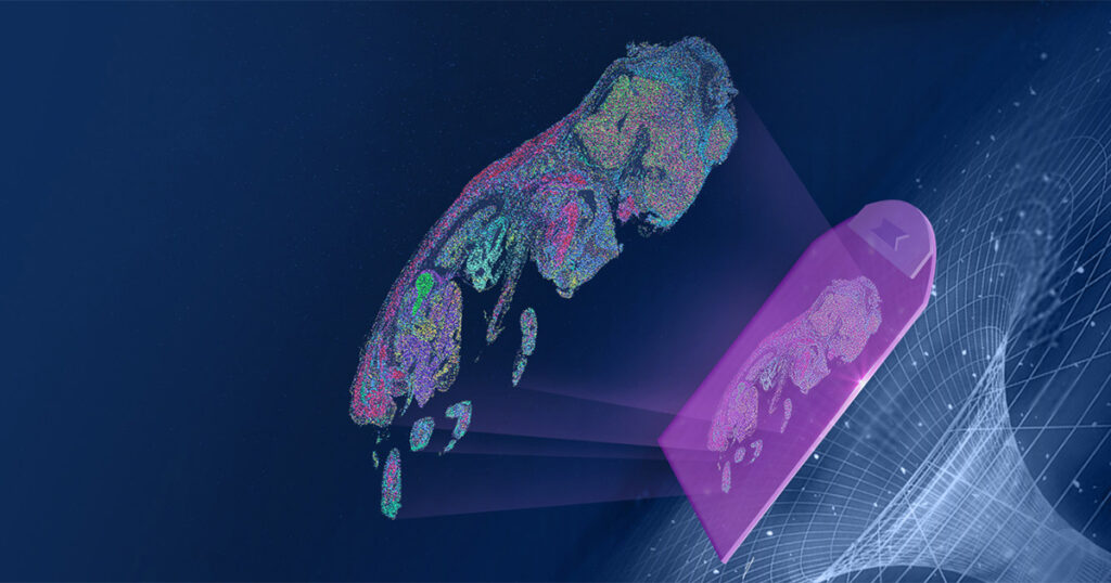 What Is Spatial Transcriptomics For Spatial Biology Keyinfo