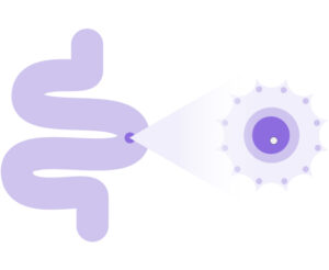 Stereo-seq OMNI for FFPE Solution - Complete Genomics