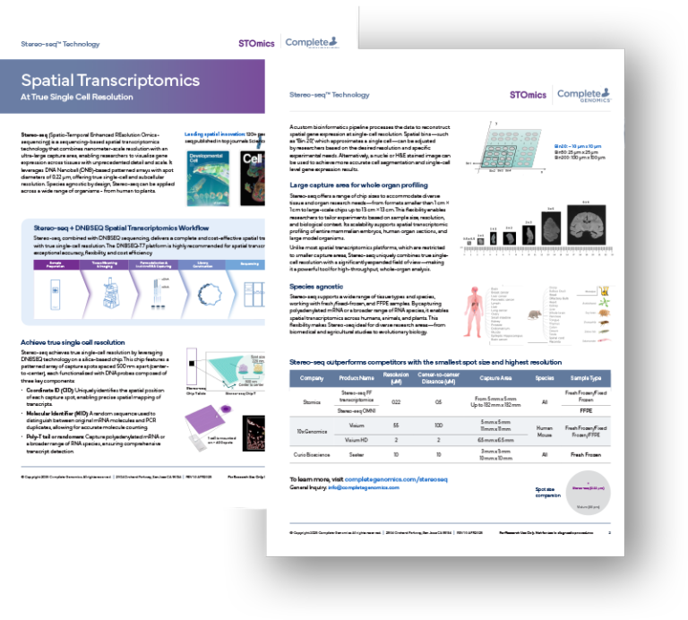 Stereo-seq Technology Overview - Complete Genomics